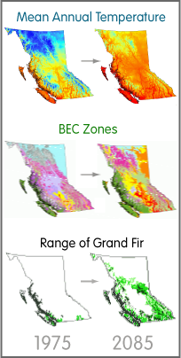 ClimateBC and bioclimatic envelope modelling | CFCG