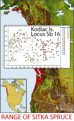 Sampling strategies and geographic scale | CFCG